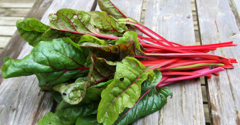 6 Health Benefits of Chard - Farmacy Counter