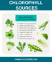 Chlorophyll Benefits: Alkalizing Your Body Naturally - Farmacy Counter
